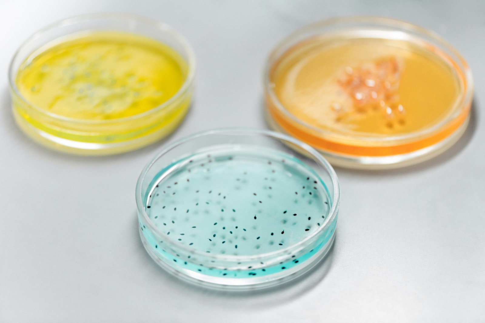 Mold Remediation in Georgetown & Austin, TX: Signs, Risks, and When to ...